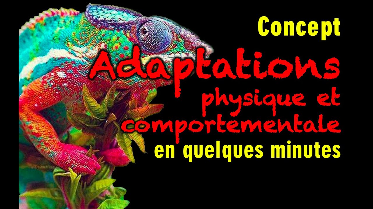 120-Adaptations physiques et comportementale - YouTube