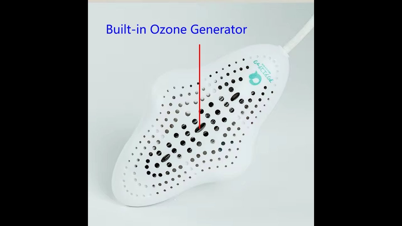 Portable Ozone Water Cleaner Ozone Water Purifier for fruit and ...