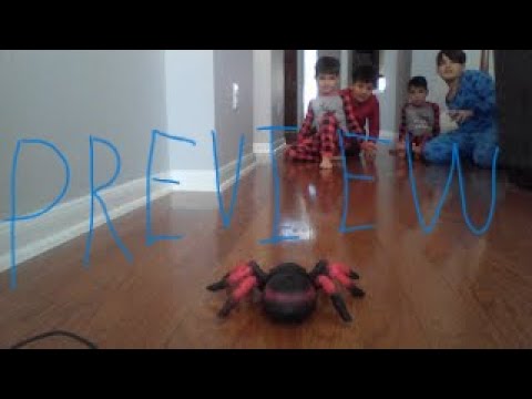 Escape The Spider Preview - YouTube