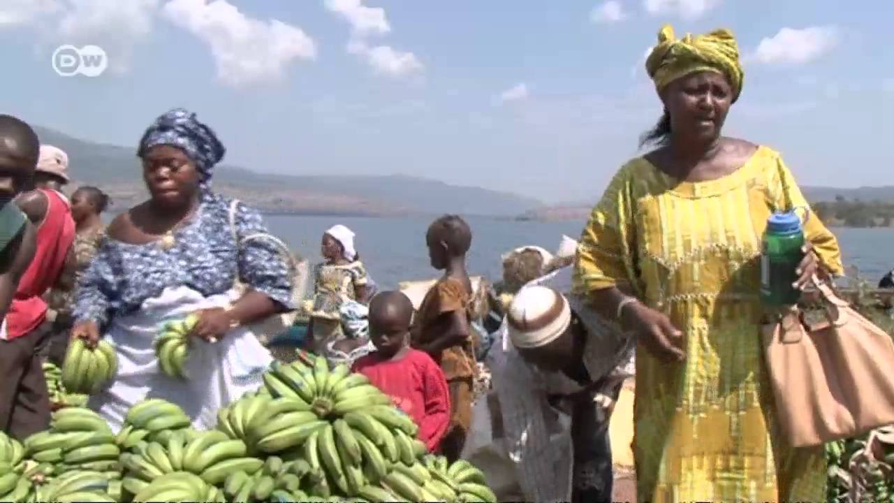 African Stories: Bananas from Guinea - more business, more affluence ...