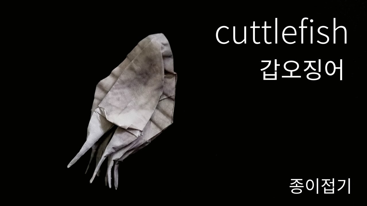 Origami Cuttlefish | 갑오징어 종이접기 | 오징어 접기 - YouTube