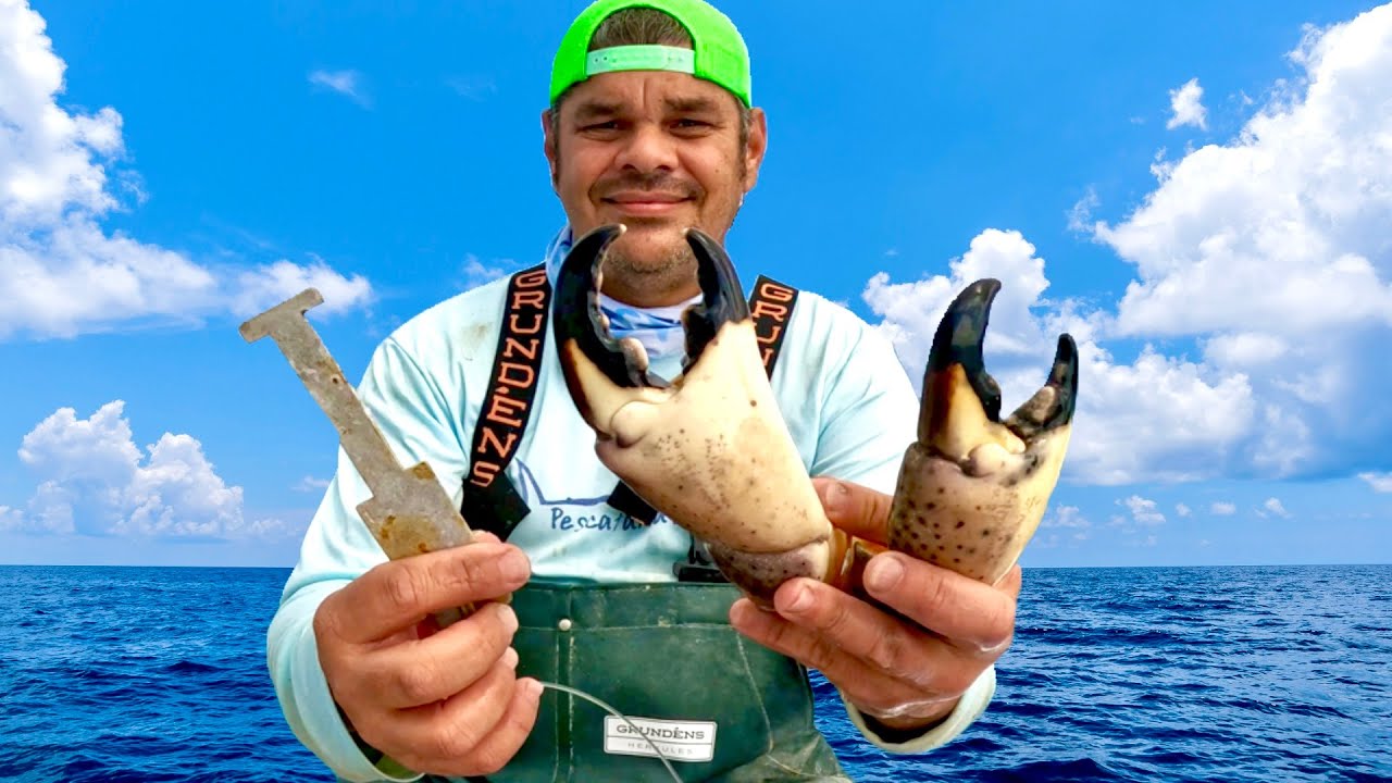 How To Measure Stone Crab - YouTube