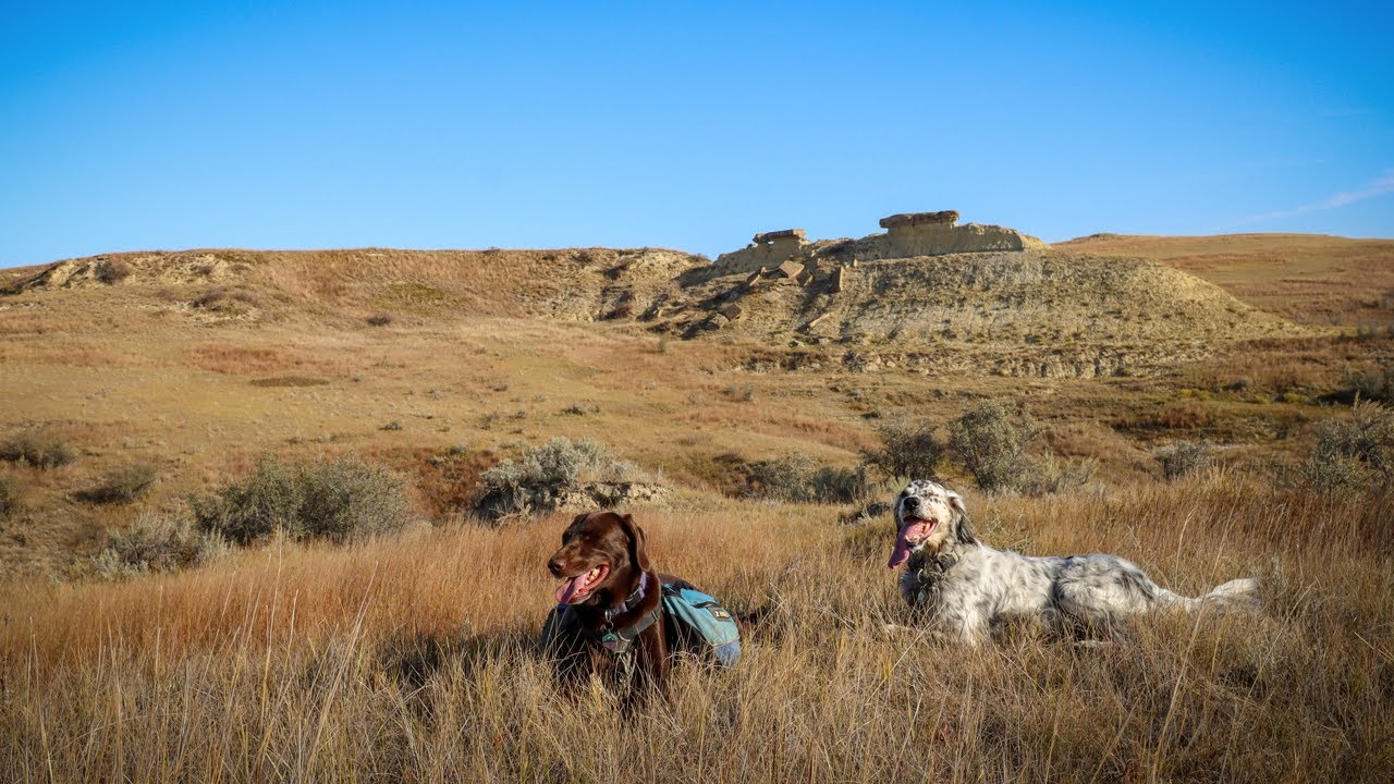 Miles Adding Up, Overland Fat Bike Trip in North Dakota, HOT Bird Dogs ...