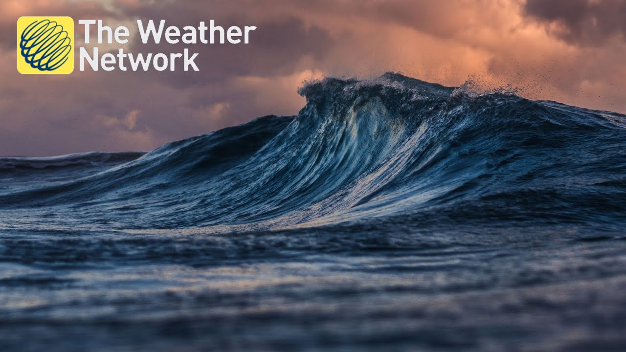 Massive 17-metre wave measured off B.C. coast by this company's buoy ...