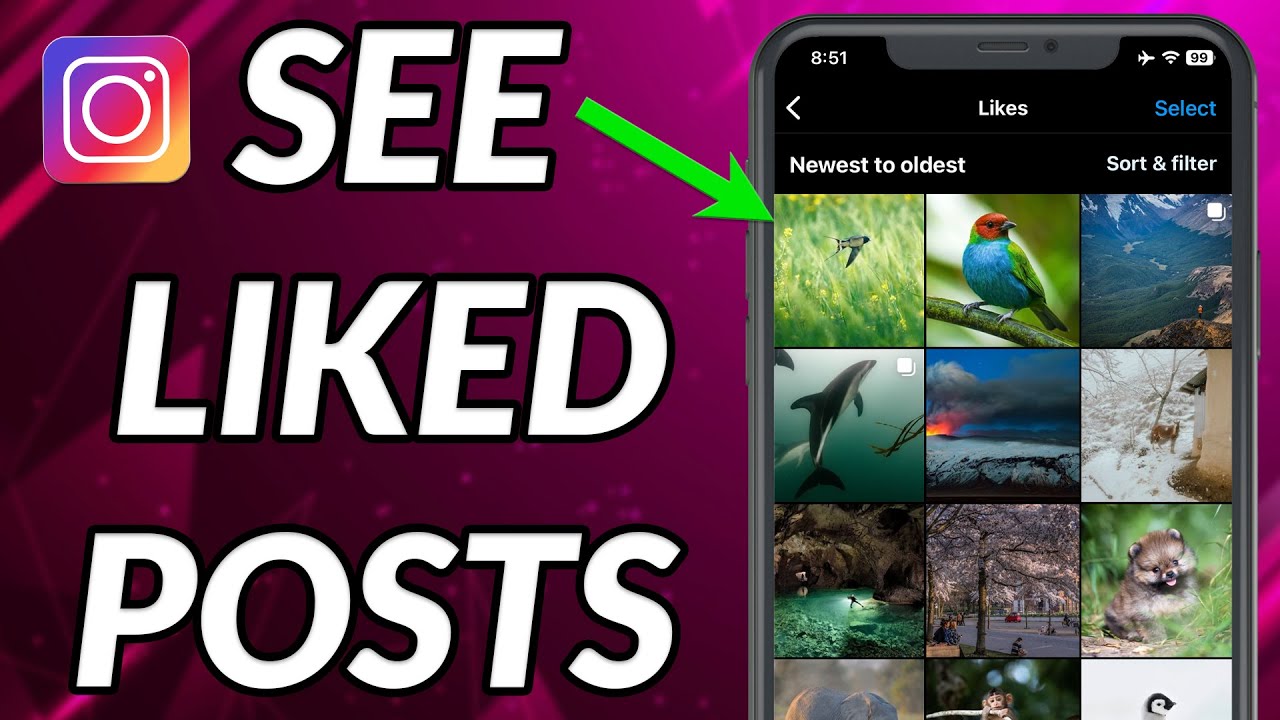 How To See Liked Posts On Instagram - YouTube