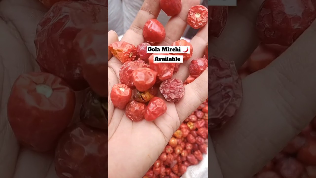 New Gola Mirchi 🌶️ Available At Shahbaz Traders Store 🔥#golamirchi# ...