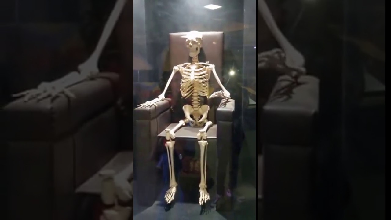 delhi funny skeleton - YouTube