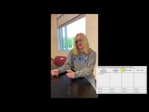 Murder and a Meal Lab: Ace It! Answer Key & Expert Tips ...