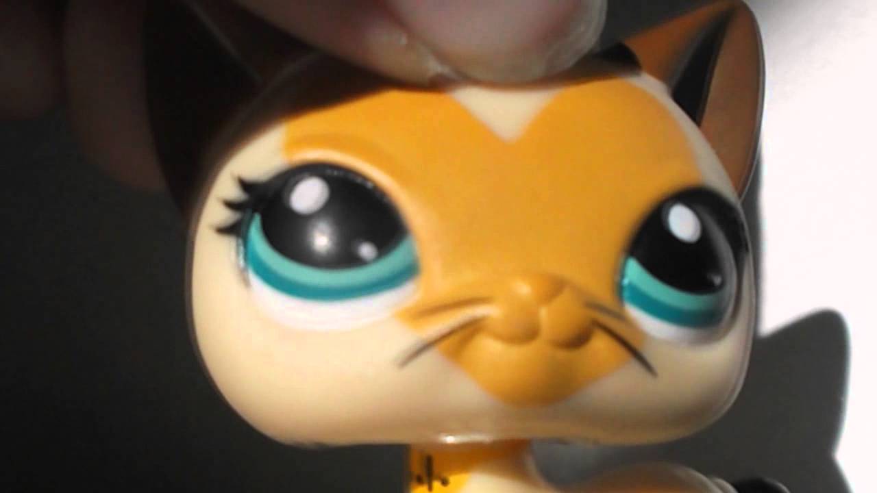 Présentation !♥ {India LPS} - YouTube