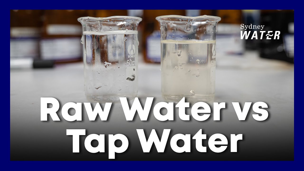 Raw water vs tap water - YouTube
