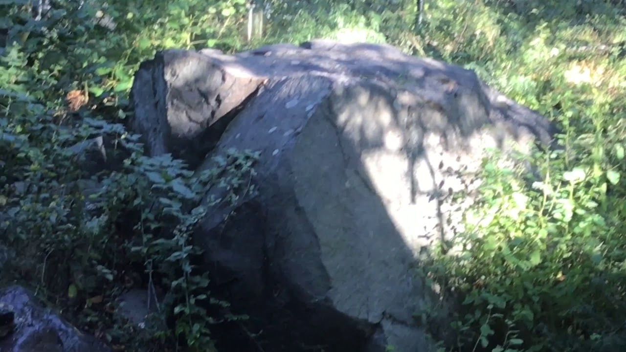 Blue Hills Trailside Museum & Blue Hills Reservation - Canton & Milton ...