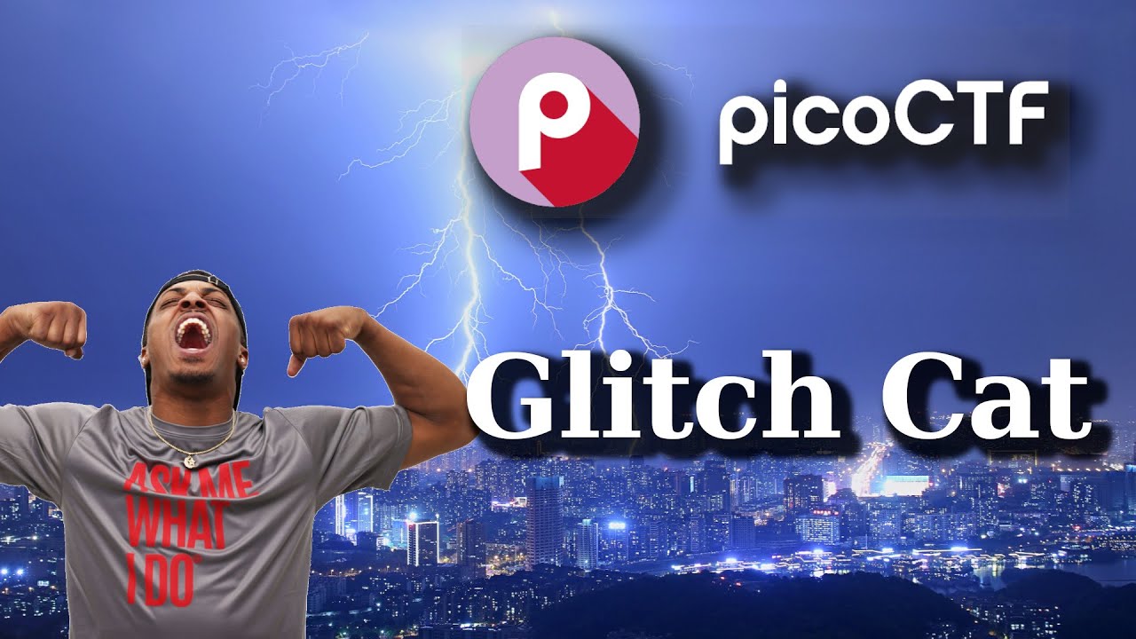 Picoctf Walkthru 75 Glitch Cat Youtube