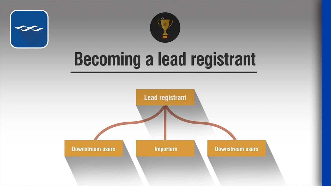REACH E-Guide Video - YouTube