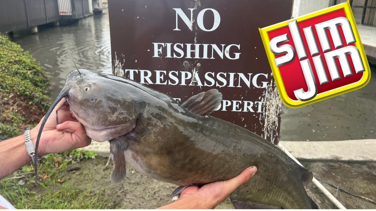 Catching MONSTER Catfish off of SLIM JIMS? - YouTube