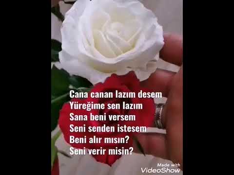 gül rengi