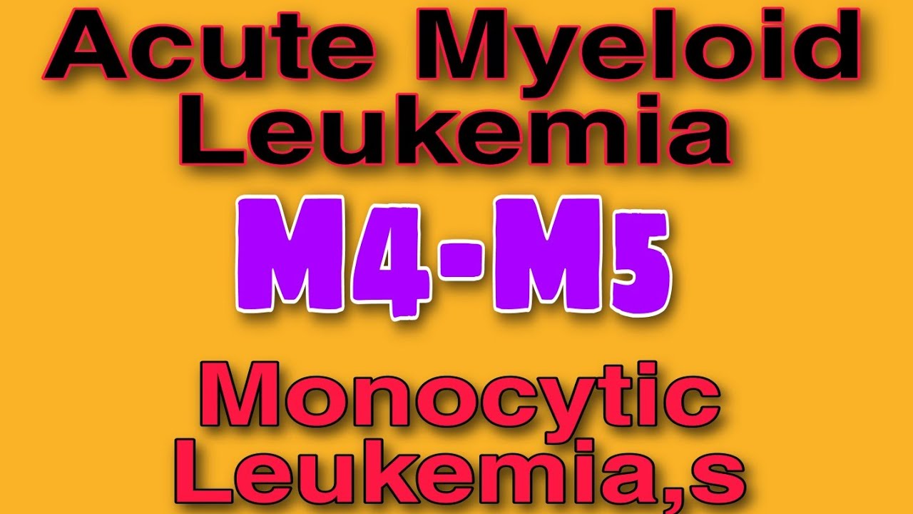 Acute Myelomonocytic Leukemia M4 & M5 - YouTube