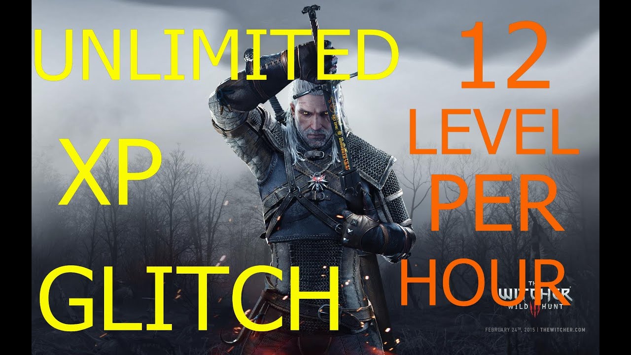 The Witcher 3 Wild Hunt Level Up (unlimited xp) Glitch 12 Level per ...