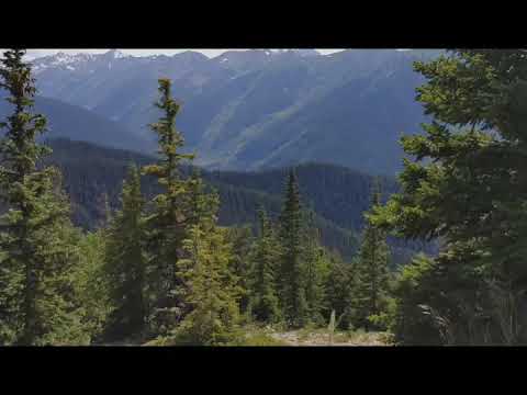 Pope Francis and the Via Positiva - Part 2 - YouTube