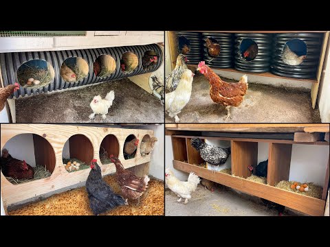 Sıradışı Fikirler | Koruge Boru ve Ahşaptan Yapılan Tavuk Follukları