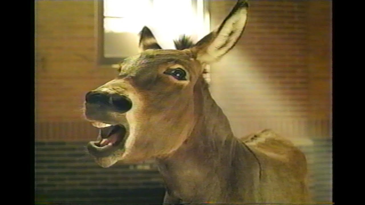 Superbowl-ads.com Top 5 Ads of 2004 Super Bowl 38 (XXXVIII) - YouTube