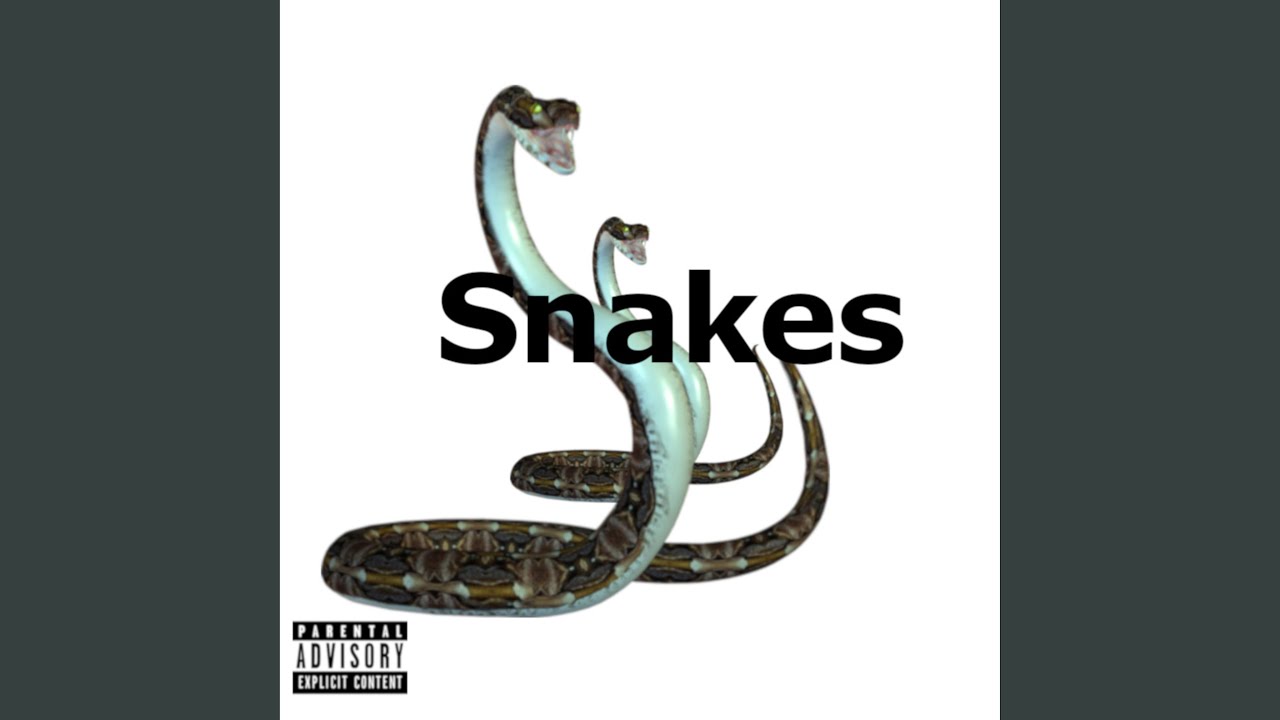 Snakes - YouTube