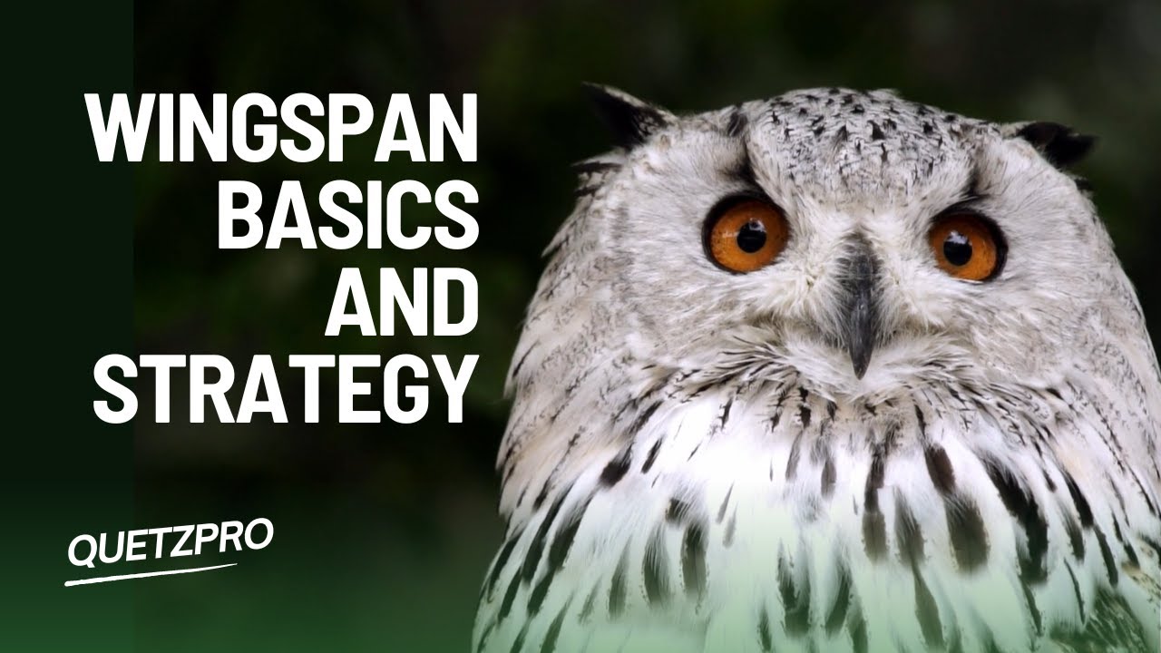 How to Play Wingspan: Master the Basics with Pro Strategies Tips - YouTube