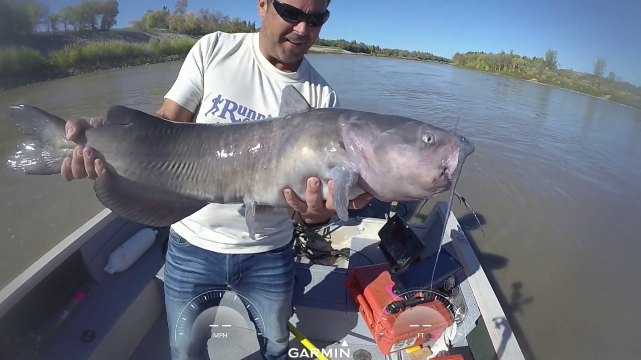 Catfishing in Lockport, Canada - YouTube