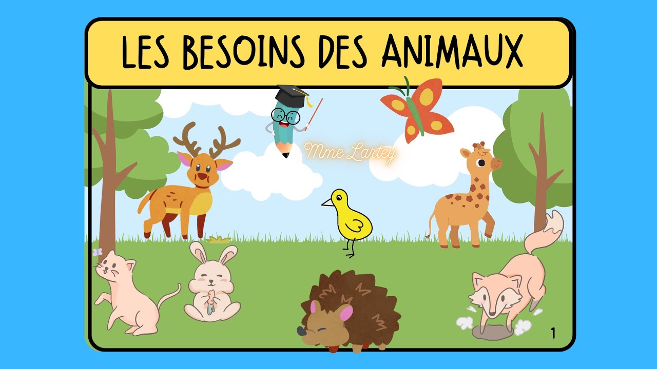 Les besoins des animaux - YouTube