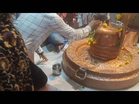 Meena Tiwari cooking vlog is live - YouTube