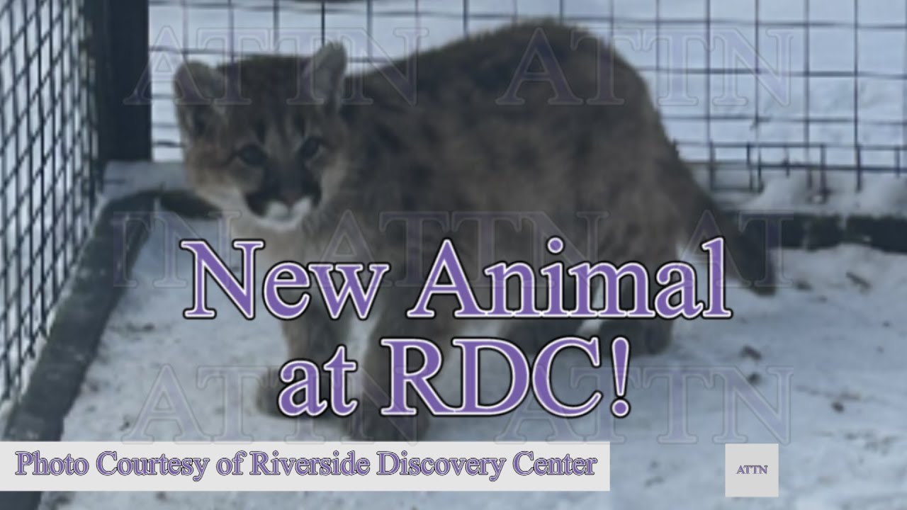 New Animal Arrives At Riverside Discovery Center - YouTube