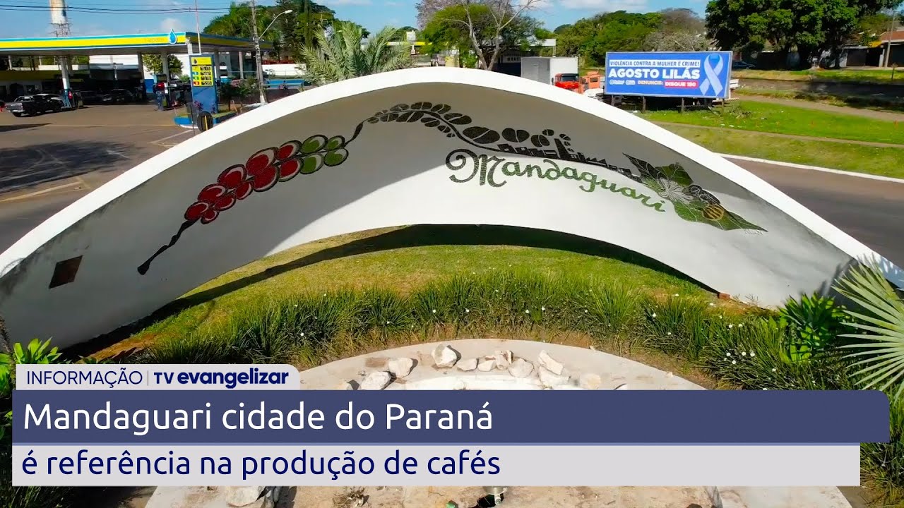 Mandaguari cidade do Paraná é referência na produção de cafés - YouTube