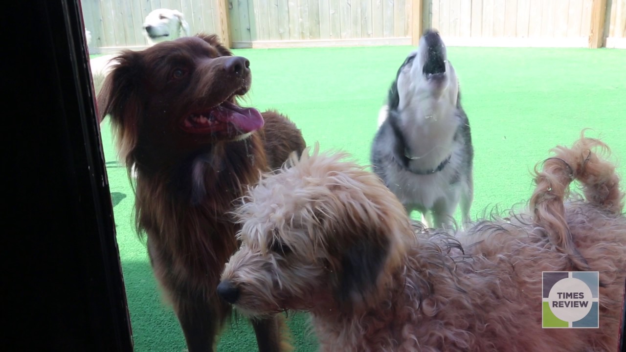 Take a video tour of the Hydrant Hotel in Riverhead - YouTube