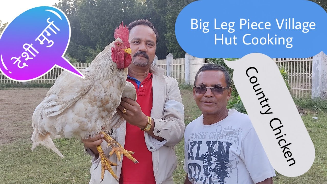 Big Murga : Big Chicken Leg : देशी मुर्गा तंगड़ी : Country Chicken Raj ...
