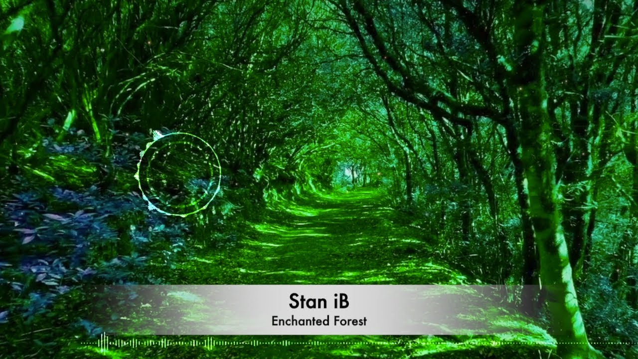Stan iB - "Enchanted Forest" - YouTube