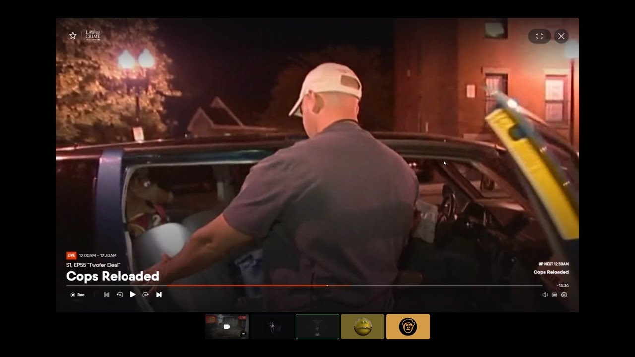 Cops Reloaded is Wild - YouTube