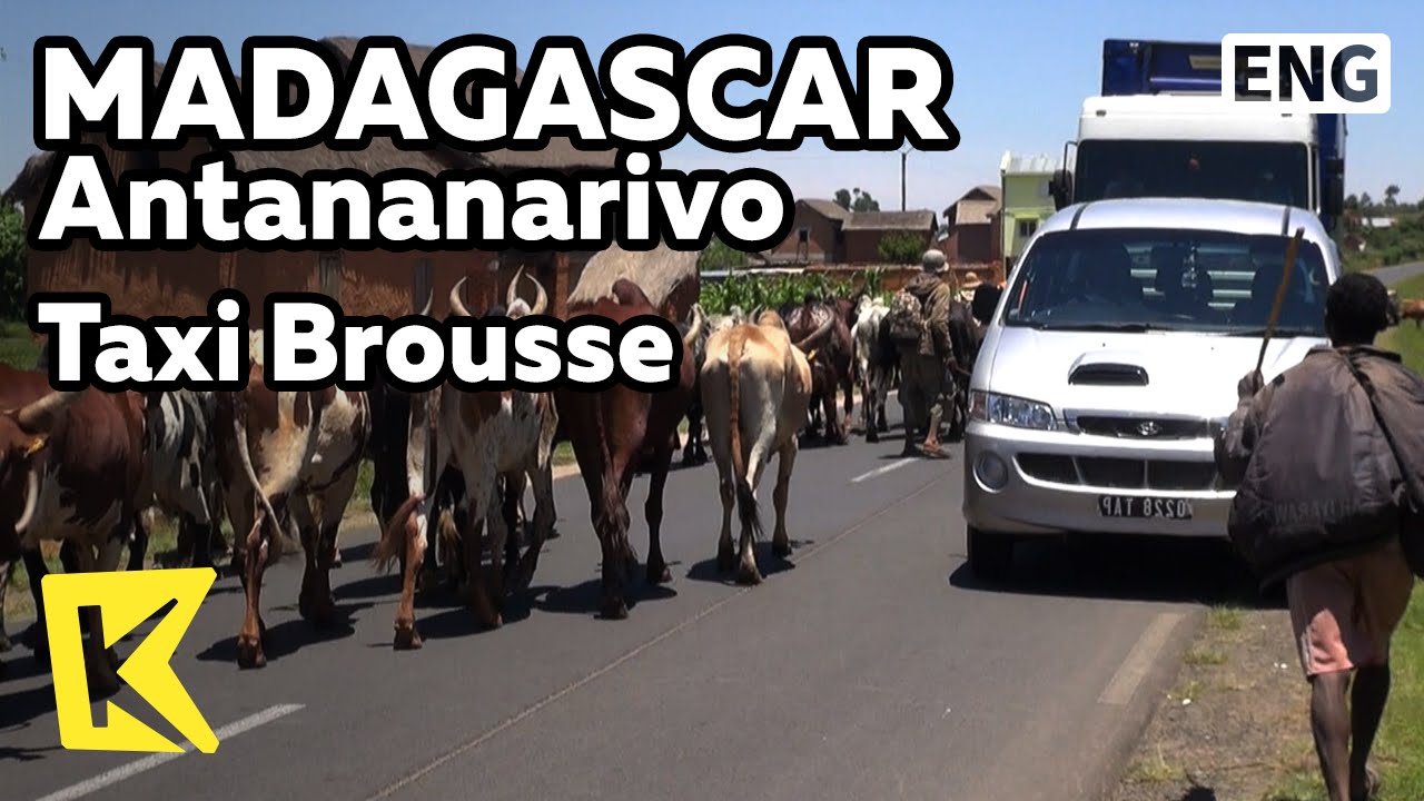 【K】Madagascar Travel-Antananarivo[마다가스카르 여행-안타나나리보]택시 브루스/Taxi Brousse ...