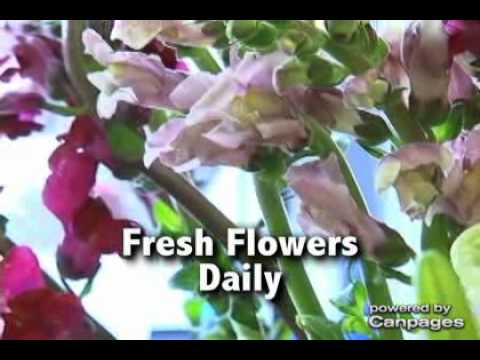 First Class Flowers - (403)255-2239 - YouTube