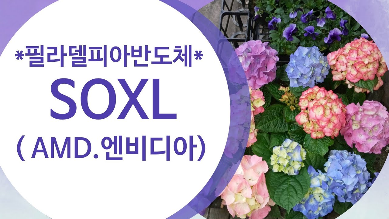 [23/1/21.토] SOXL(12.79달러)..3배 레버리지 ETF 인텔..퀄컴..AMD..램리서치..엔비디아...브로드컴..등 - YouTube