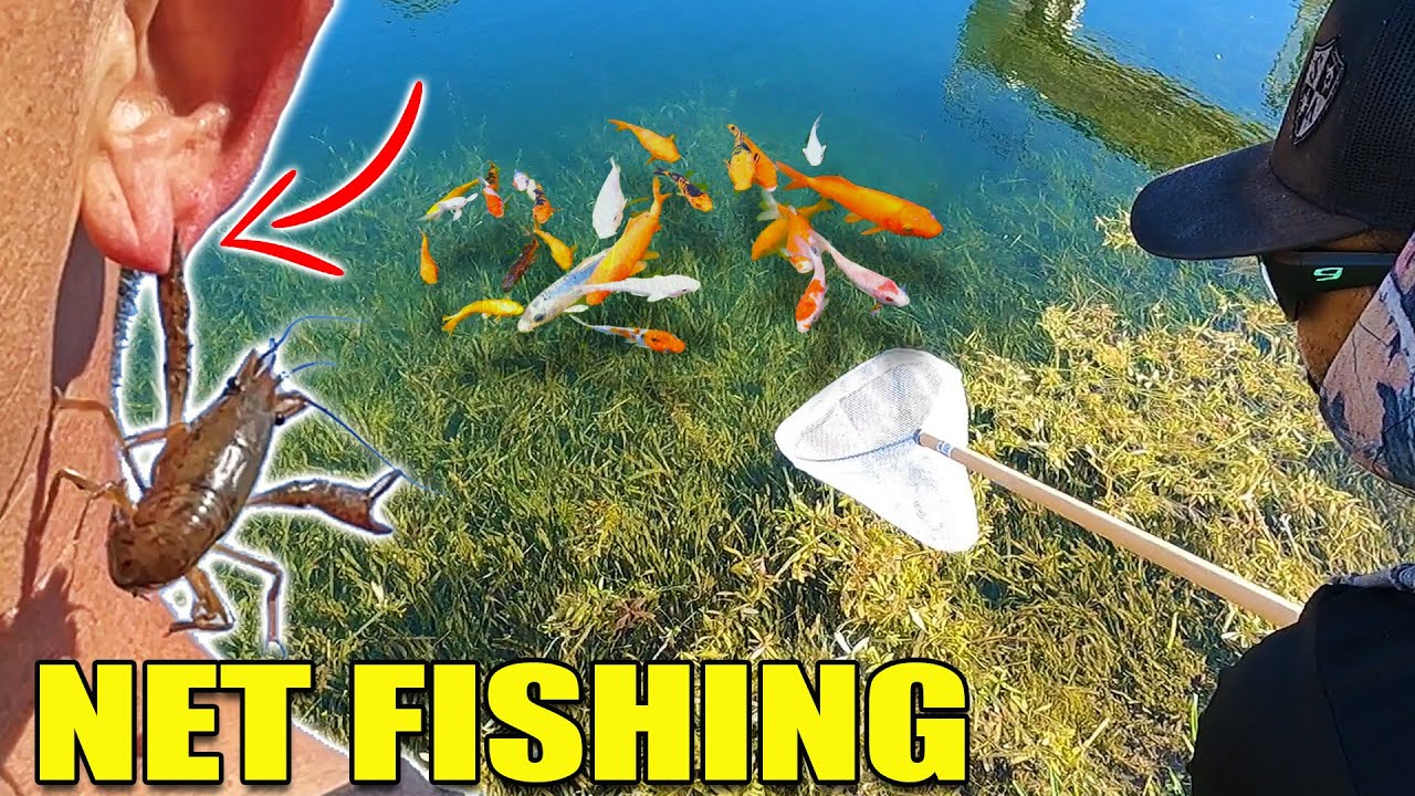 Net Fishing Challenge! You Won't Believe What I Caught OUCH! - YouTube
