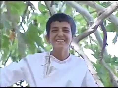 tikgi degisme