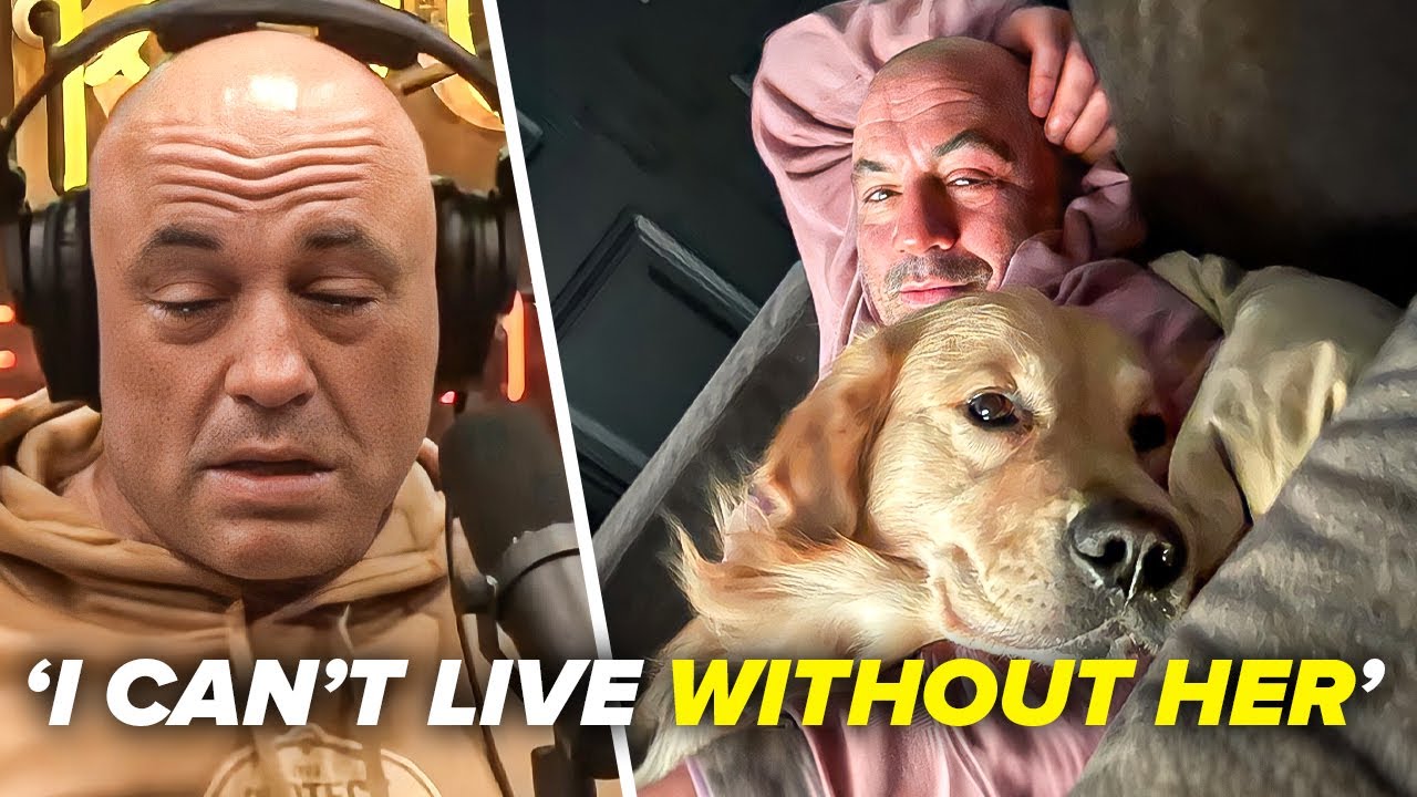 Joe Rogan's Most EMOTIONAL Interviews.. - YouTube