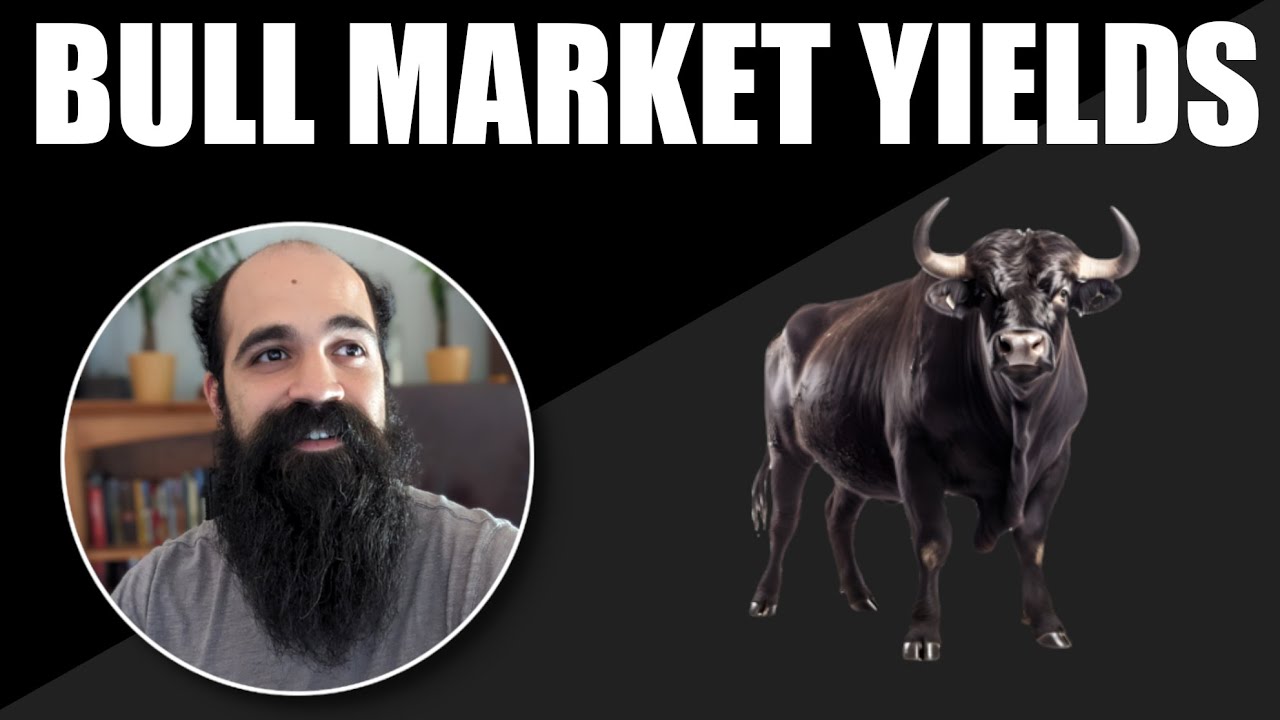How to be a DeFi Bull - YouTube