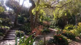 UCLA Botanical Garden, Los Angeles