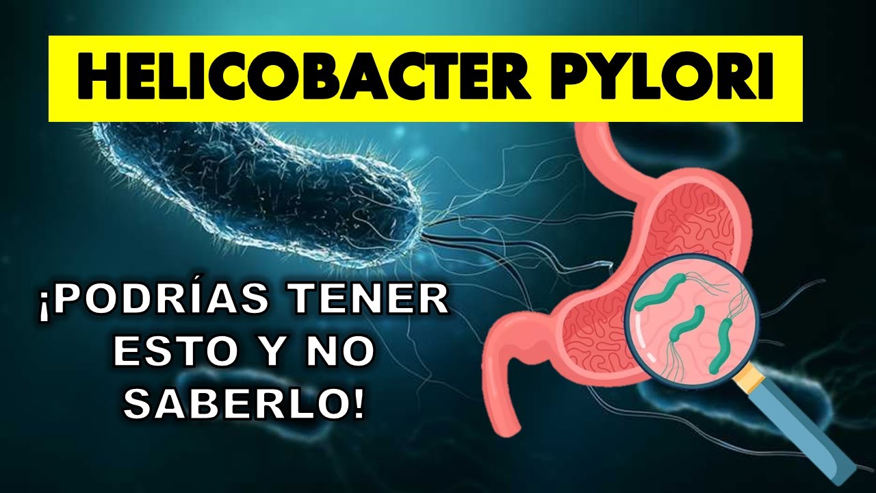 🔴 HELICOBACTER PYLORI | Síntomas, Complicaciones, Diagnóstico y ...