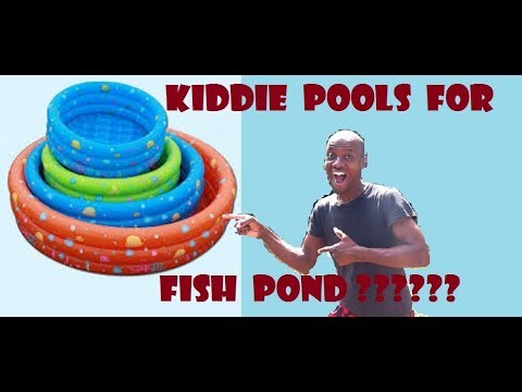 KIDDIE POOL AS FISH POND | EXPLORING NEW OPPORTUNITIES - YouTube