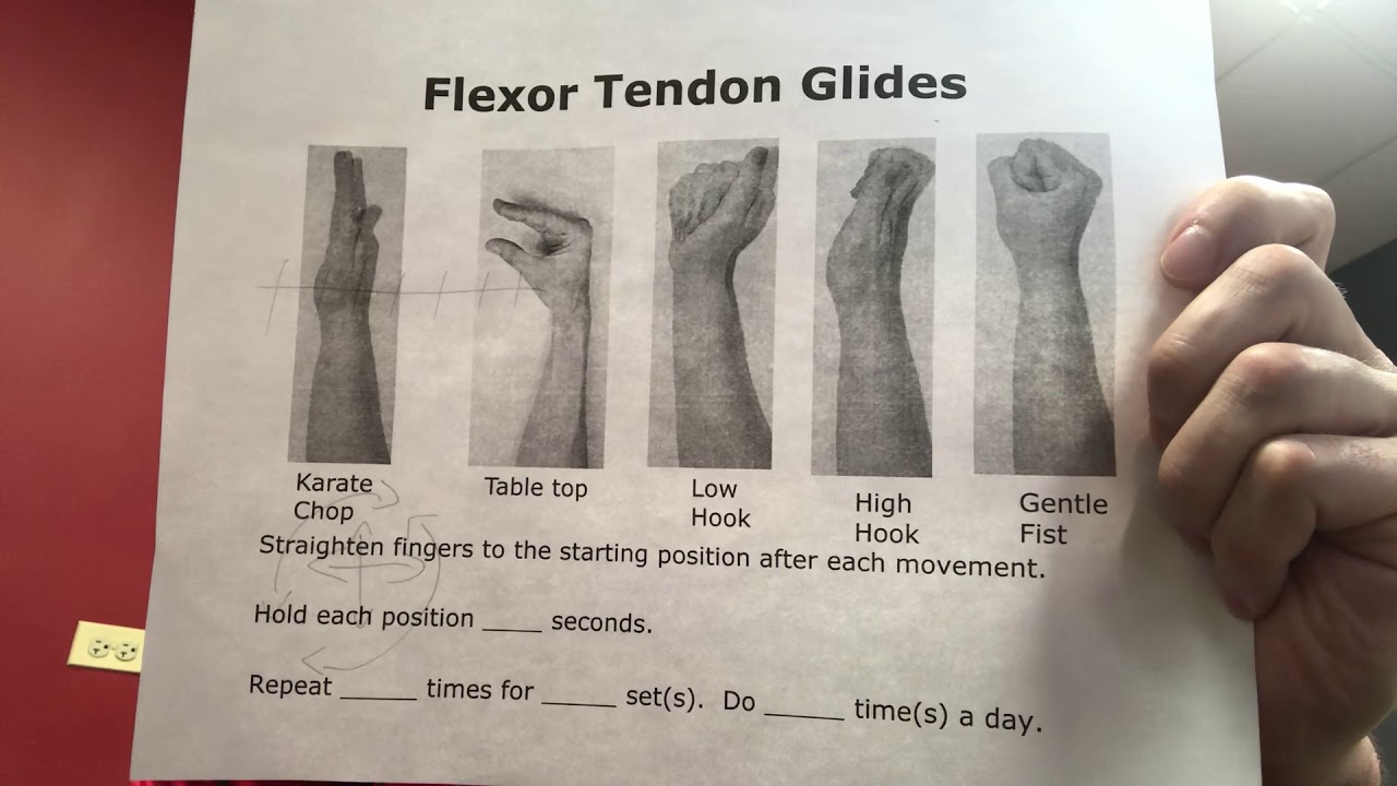 Flexor tendon glides - YouTube