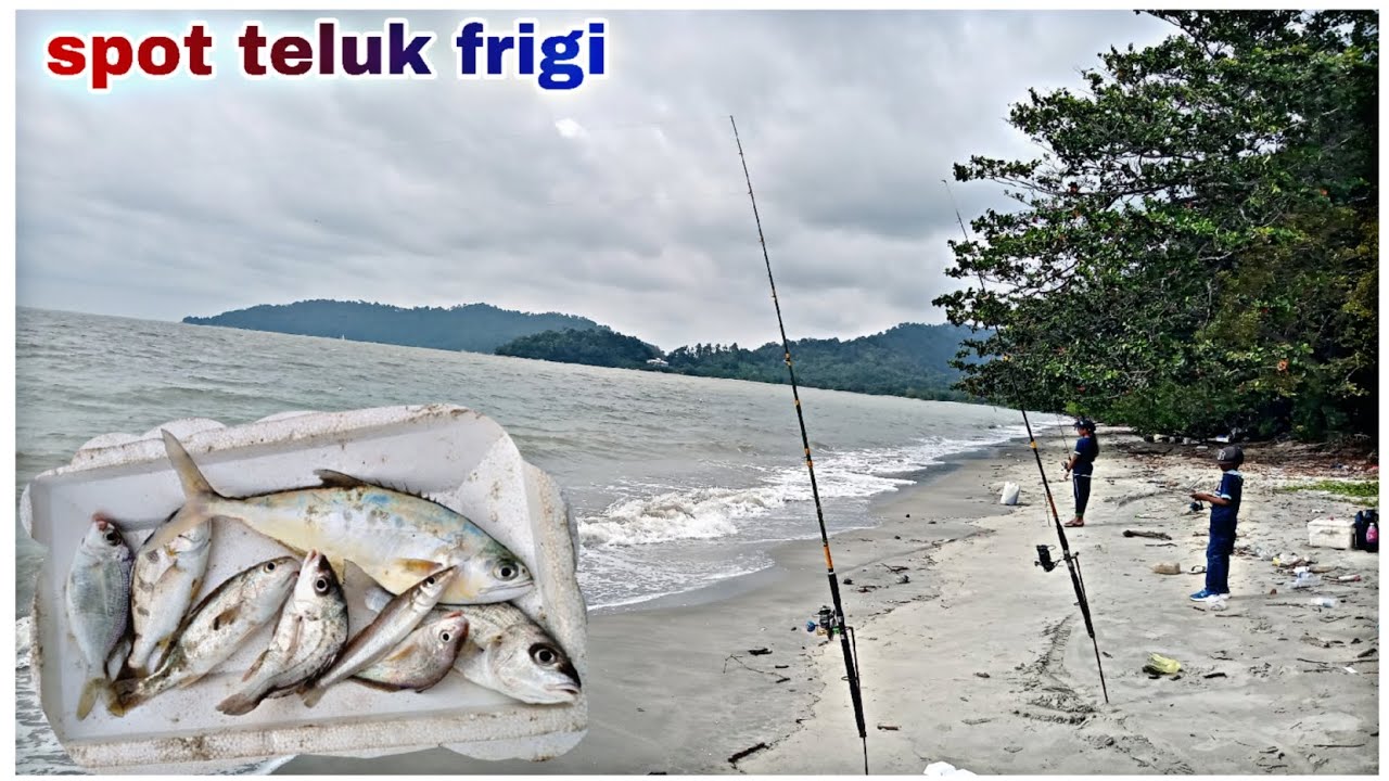 #305 spot teluk frigi cari lauk guys🎣🎣🎣 - YouTube