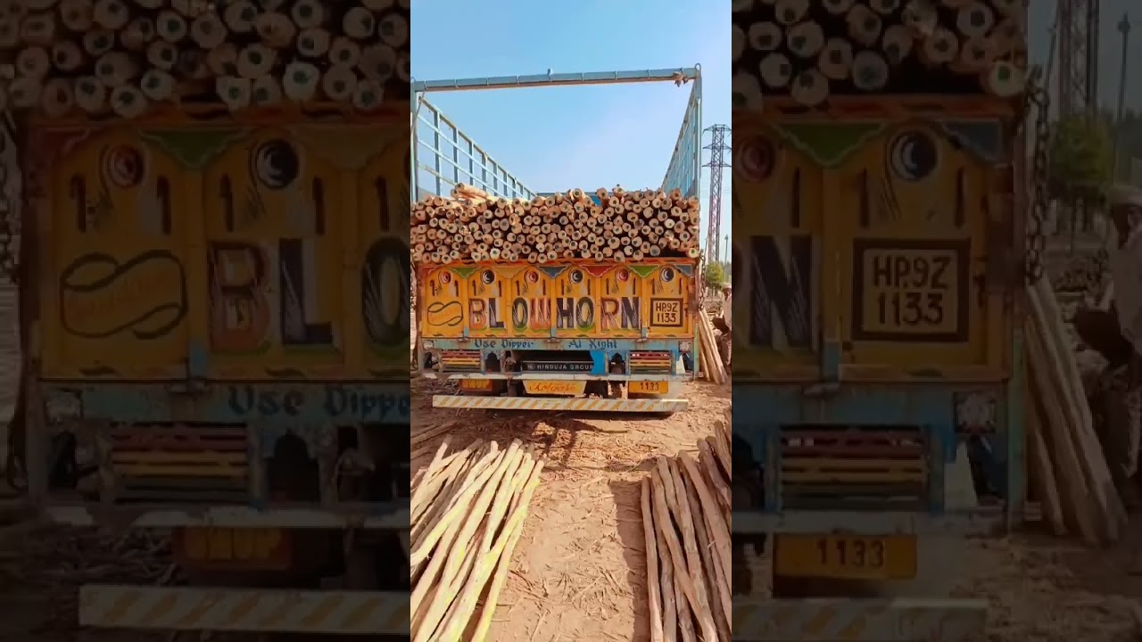 safeda Balli shuttering balli wholesale (7988244412) - YouTube