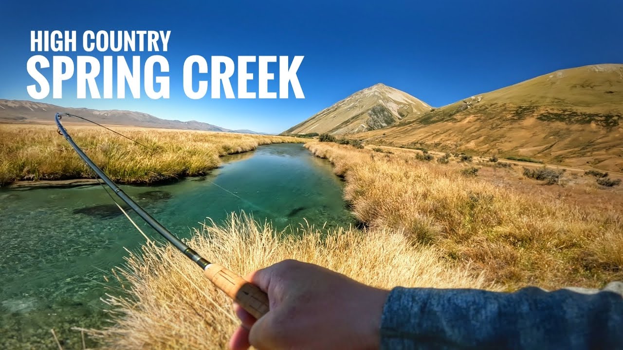This is the Best High Country Spring Creek Fishing i Have Ever Had ...