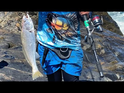 Kabeljou | West Coast | Ganzekraal - YouTube